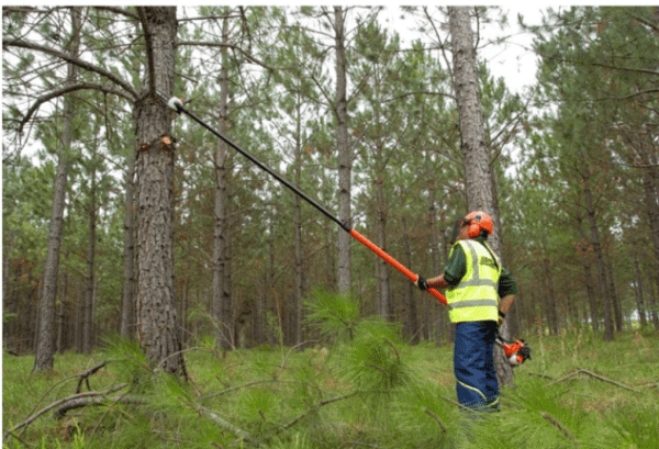 Podadora Echo PPT 266. Motor Vortex de 25,4cc y 3,71 mts de largo
